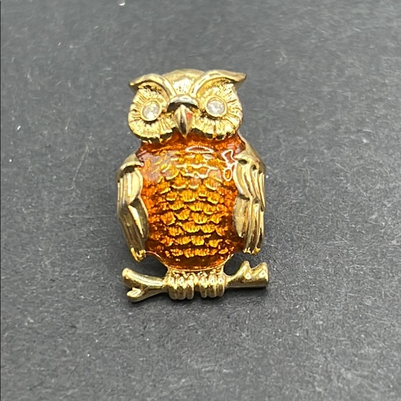 Vintage | Jewelry | Vintage Enamel Owl Lapel Pin | Poshmark